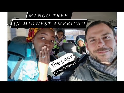 GROWING TROPICAL PLANTS IN MIDWESTERN AMERICA | FAMILIA PABLANU - YouTube