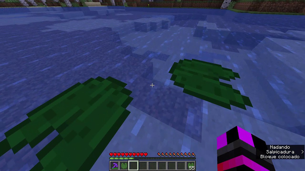 Minecraft 20w07a Lilipad bug - YouTube