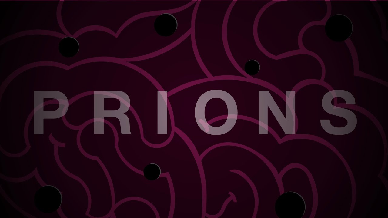 Prions | How a protein can destroy our brain | Animation - YouTube