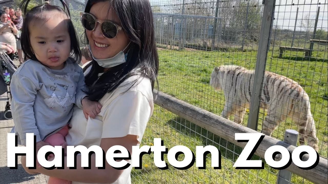 Hamerton Zoo Park | Huntingdon, UK - YouTube