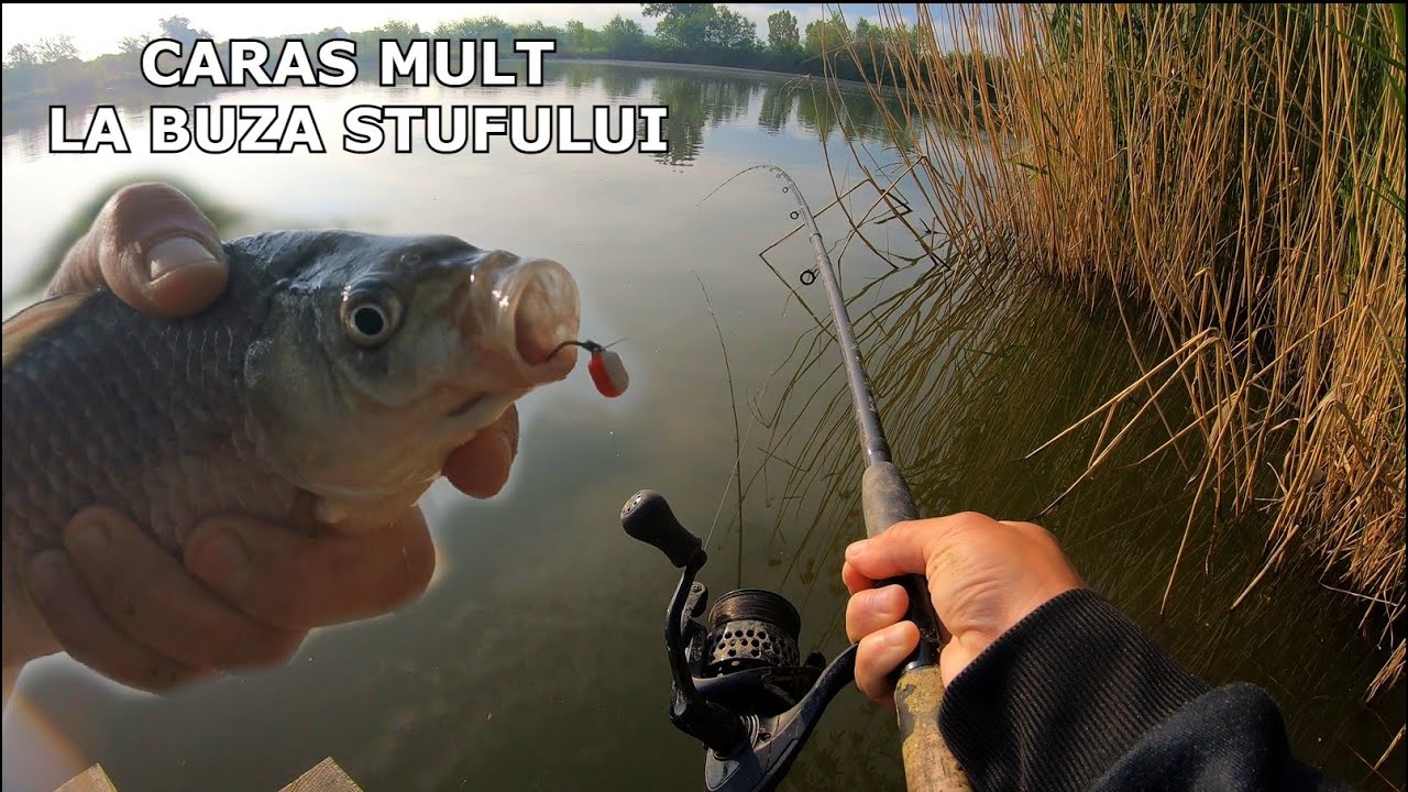 Pescuit CARAS MULT si Crap La BUZA STUFULUI - M-au TERORIZAT Carașii La ...
