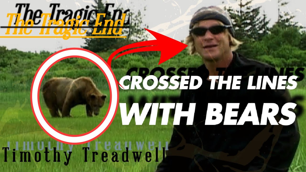Timothy Treadwell | The Man Who Crossed the Line with Bears! - YouTube