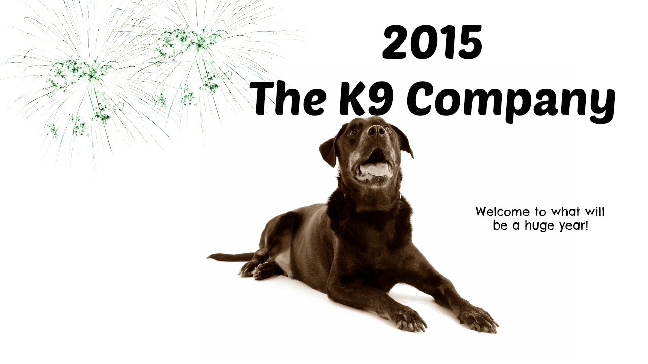 Welcome to from 2015 The K9 Company + Peanut Butter Puppies - YouTube