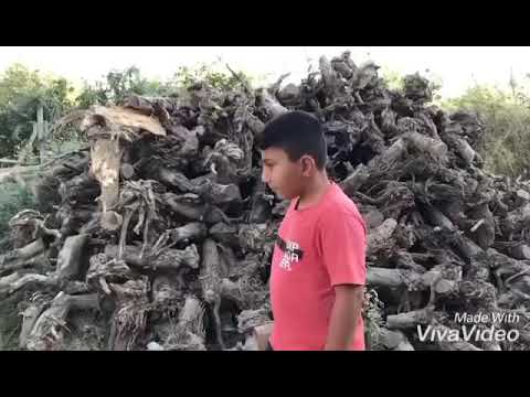 Kemal Sunal Köre Bir Sadaka 💣