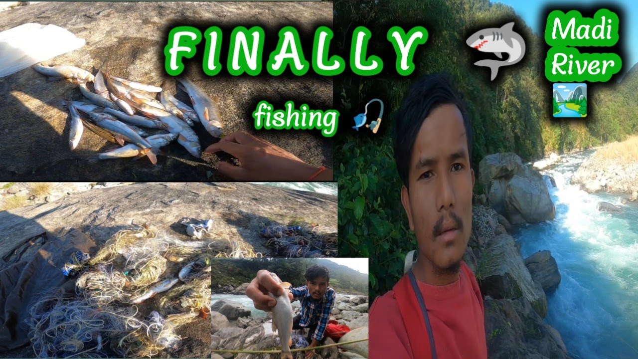 Madi River 🏞️🎣 || Madi khola ma Fishing 🎣 || fresh Aasala Machha🦈 - YouTube