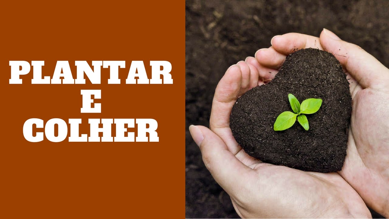 Sobre plantar e colher - YouTube