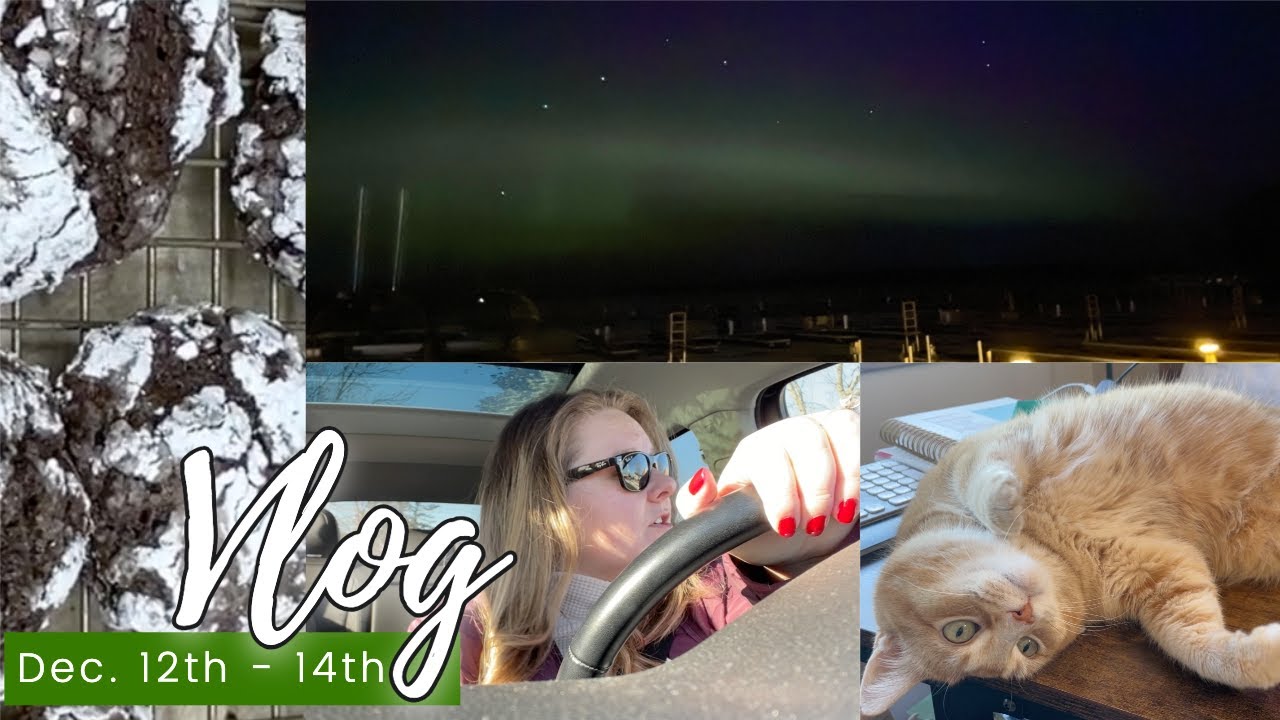 Vlog Dec. 12th - 14th | Northern Lights, Baking Cookies, and Meeko Time ...