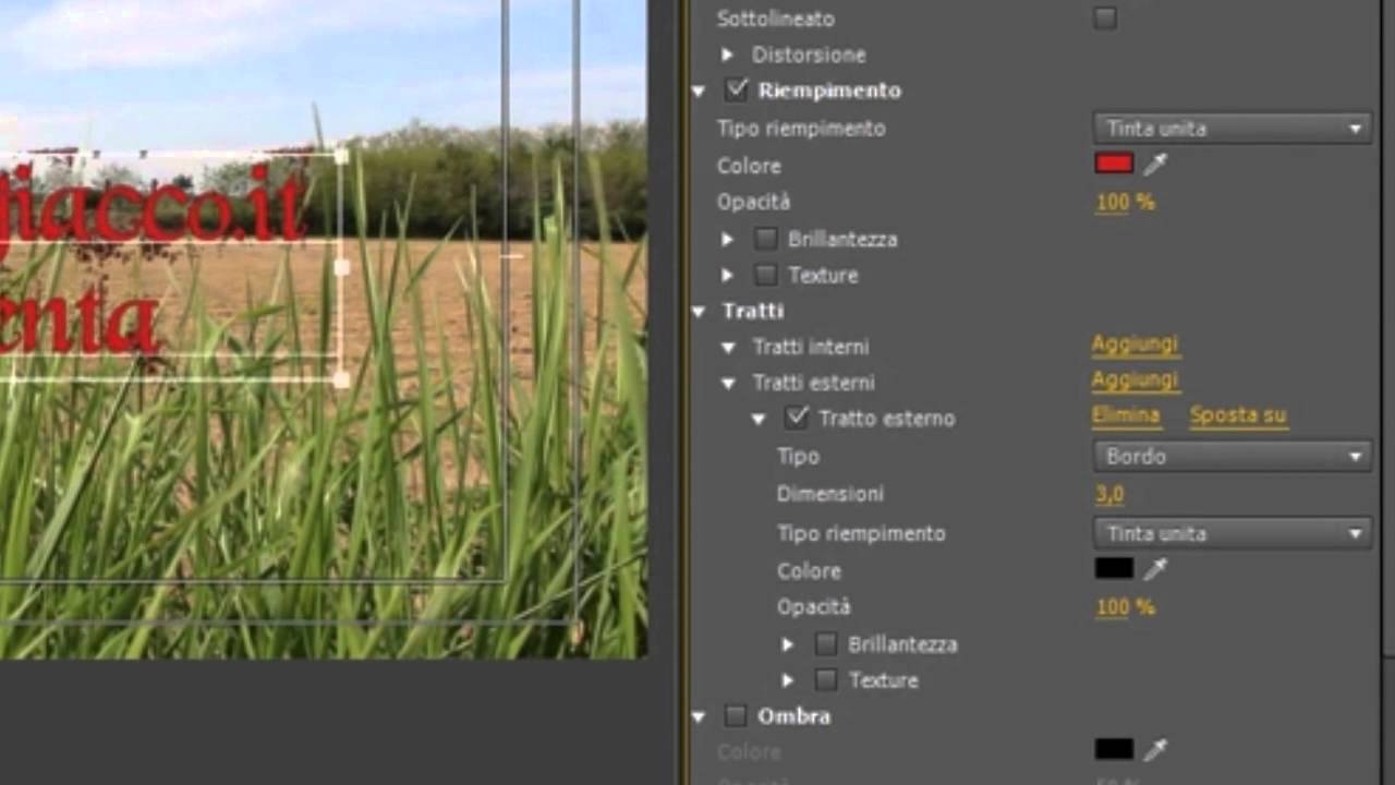 Adobe Premiere Basic Training Z Systems Inc