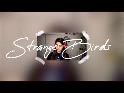 STRANGE BIRDS - ilkay epçeliden