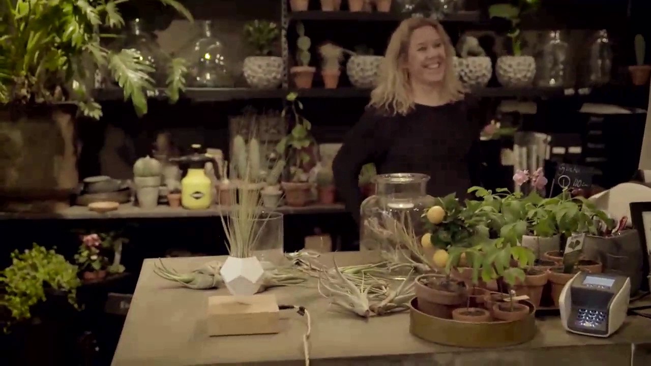 Authentic Floating Levitating Plant Pot for Air Plants - YouTube