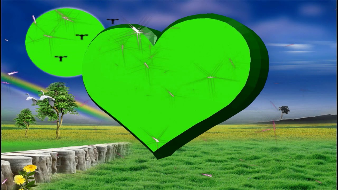Green Screen frame Animation Background Video Cool Green Screen Effects ...