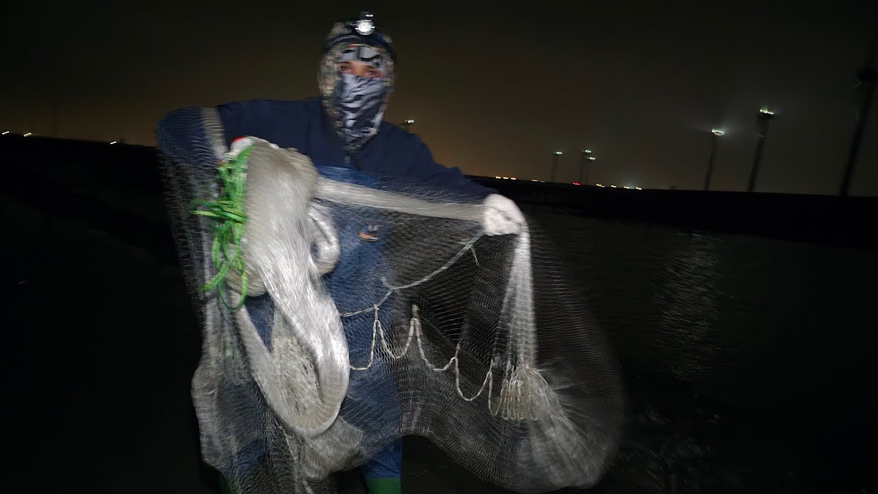 NIGHT FISHING USING CAST NET - YouTube