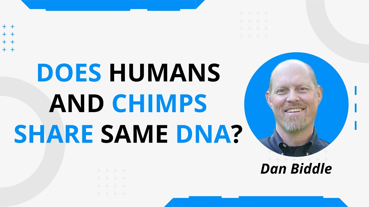 FAQ: Does Humans and Chimps Share Same DNA? by Dr. Dan Biddle - YouTube