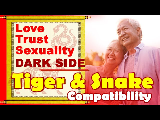 Tiger and snake chinese zodiac 60 photos - Youhoroscope.com