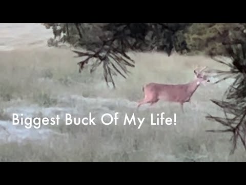 BIG 8 POINT Comes Within 15 Yards!!! - YouTube
