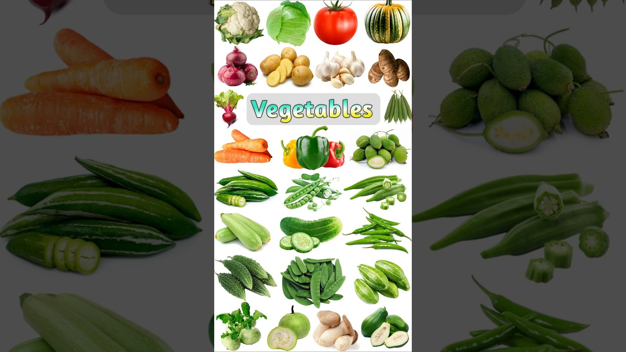 All Kinds Of Vegetables Pictures And Names