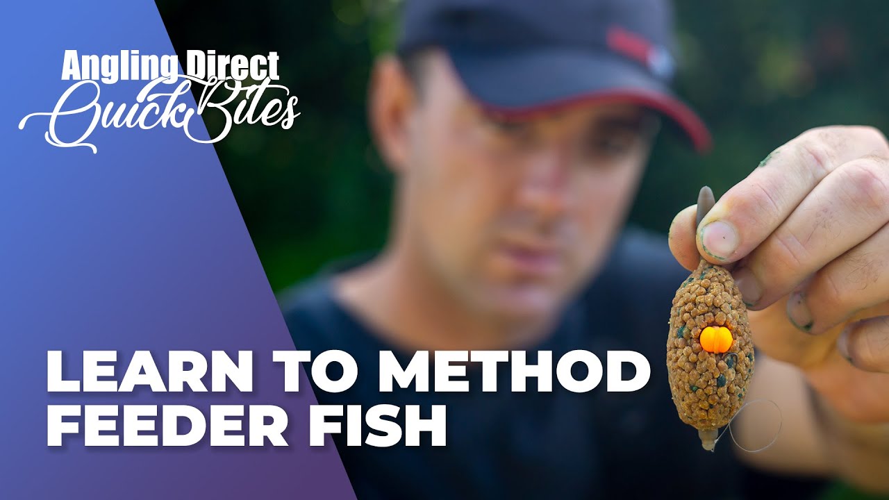 Learn To Method Feeder Fish - Coarse Fishing Quickbite - YouTube
