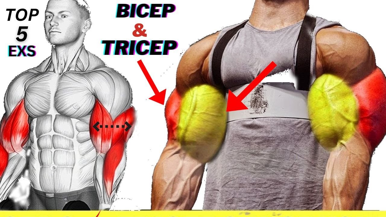 5 MOST EFFECTIVE TRICEP & BICEP WORKOUT for BIGGER ARMS - YouTube