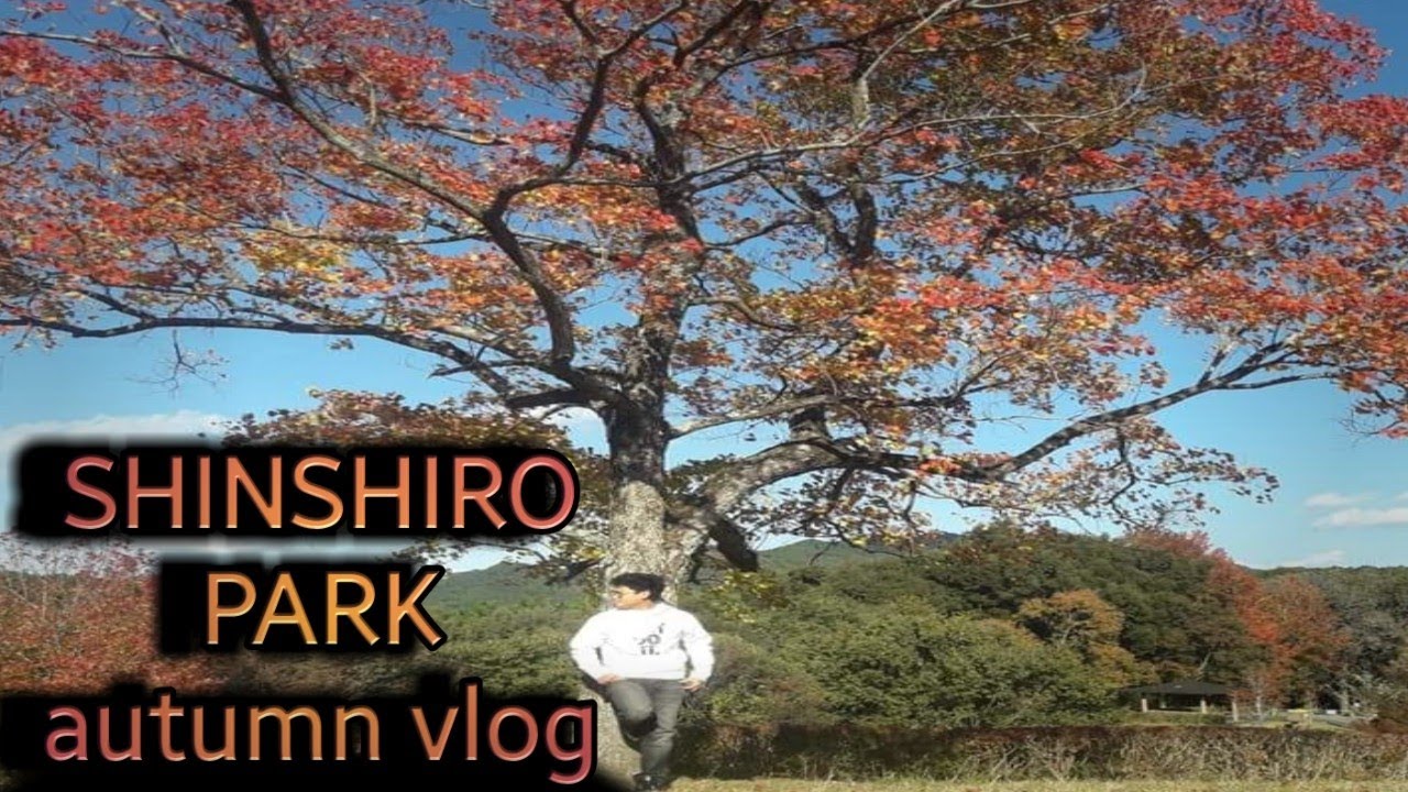 SHINSHIRO PARK | Aichi Prefecture- Autumn Season - YouTube