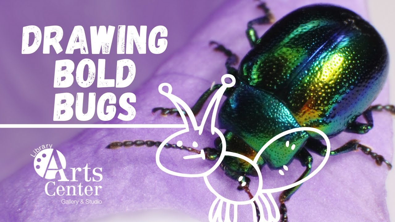 Drawing Bold Bugs | Art Project for Kids - YouTube