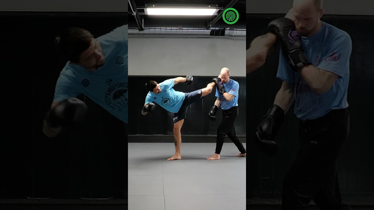 Carlos Condit Kick Gsp