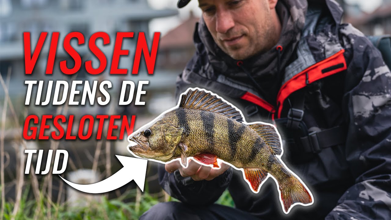 Toch vissen tijdens de gesloten tijd - Serge Sonneveldt | Roofvissen ...