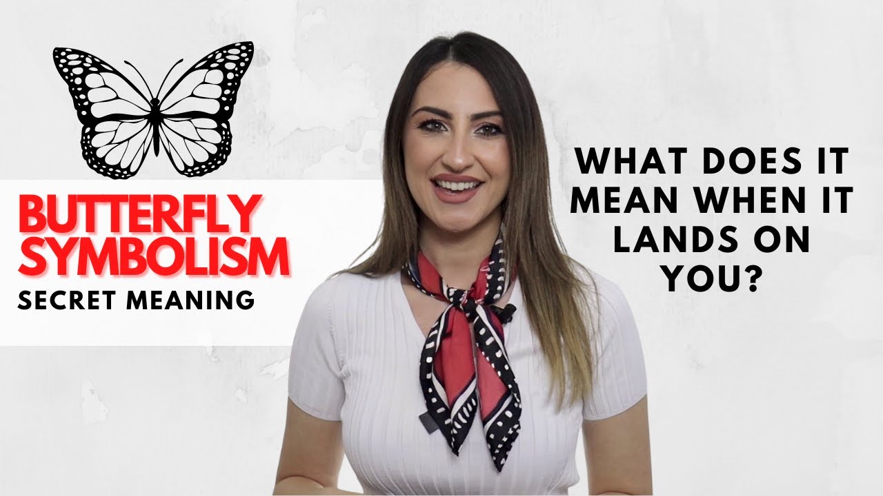 Butterfly Symbolism What Does It Mean When It Lands On You YouTube butterfly-symbolism-what-does-it-mean-when-it-lands-on-you-youtube