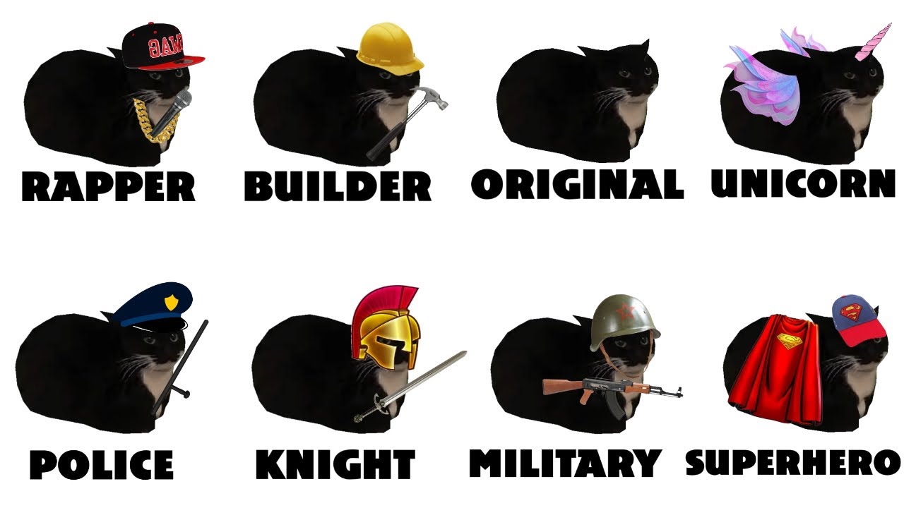 The best version of Maxwell cat! Maxwell the cat evolution! - YouTube