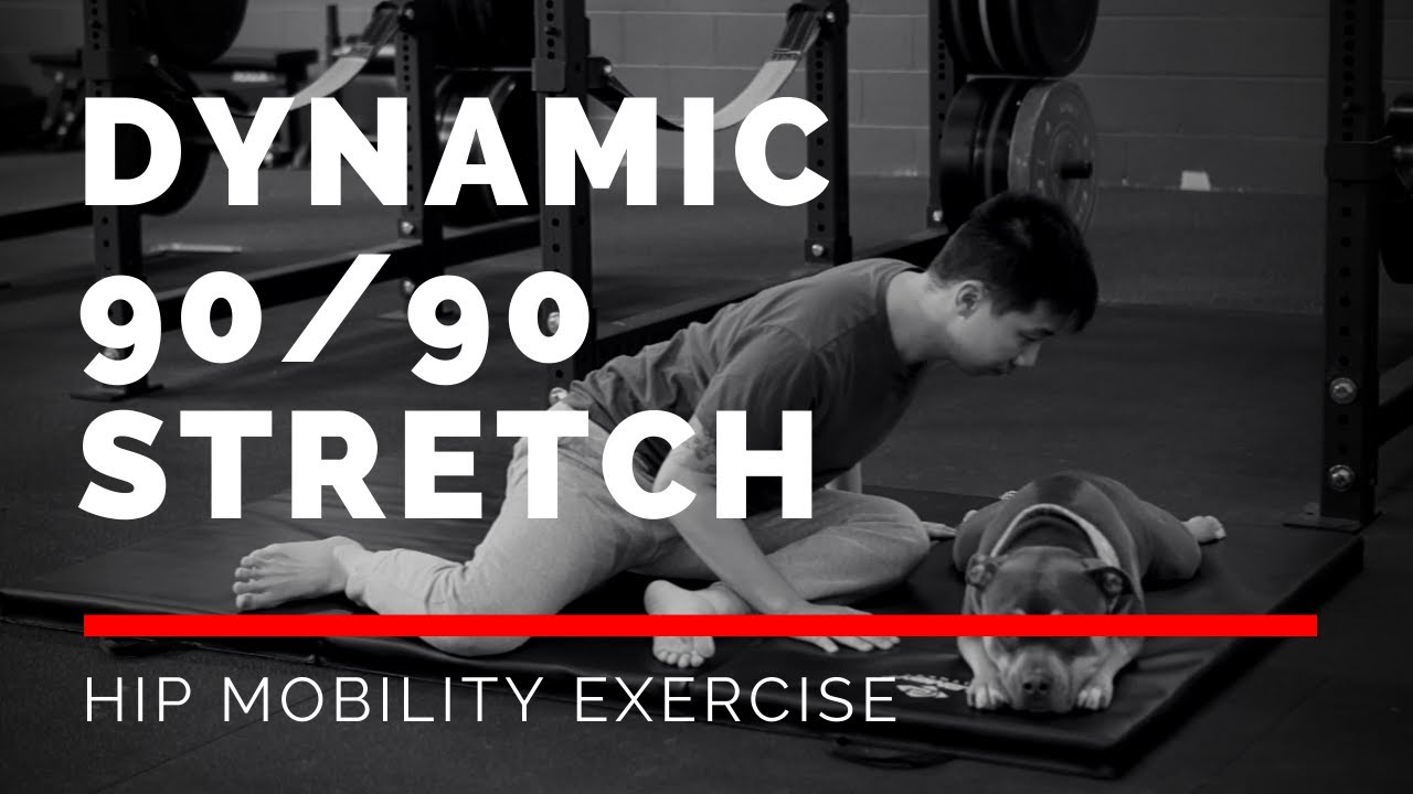 Dynamic 90/90 Stretch (IMPROVE YOUR HIP MOBILITY!) - YouTube
