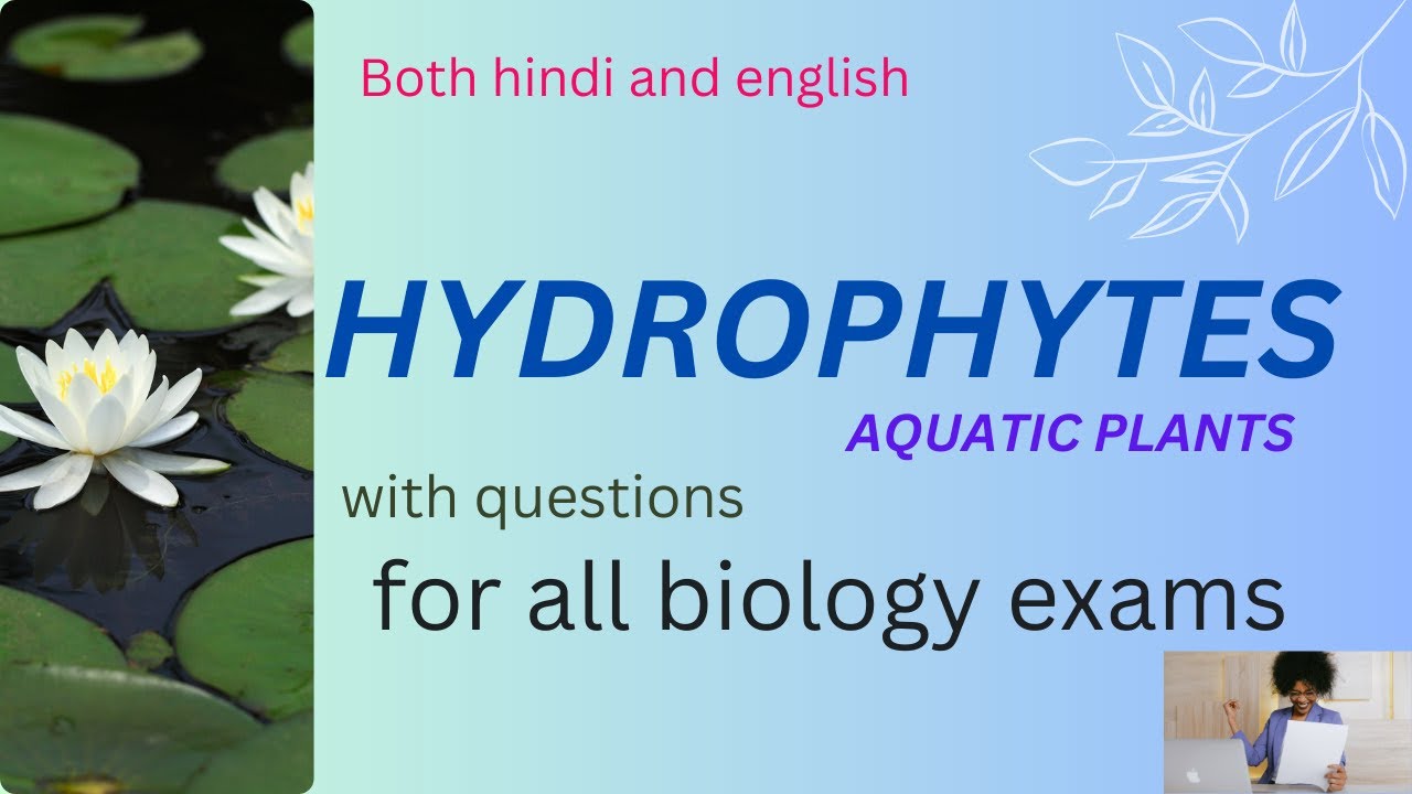 Hydrophytes | aquatic plant | with questions and basic clarity| for all ...
