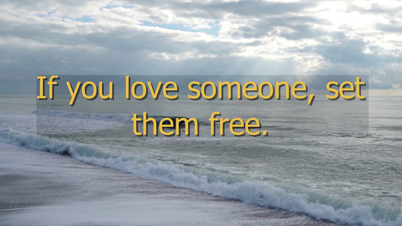 Quote: If you love someone, set them free. -- Richard Bach - YouTube