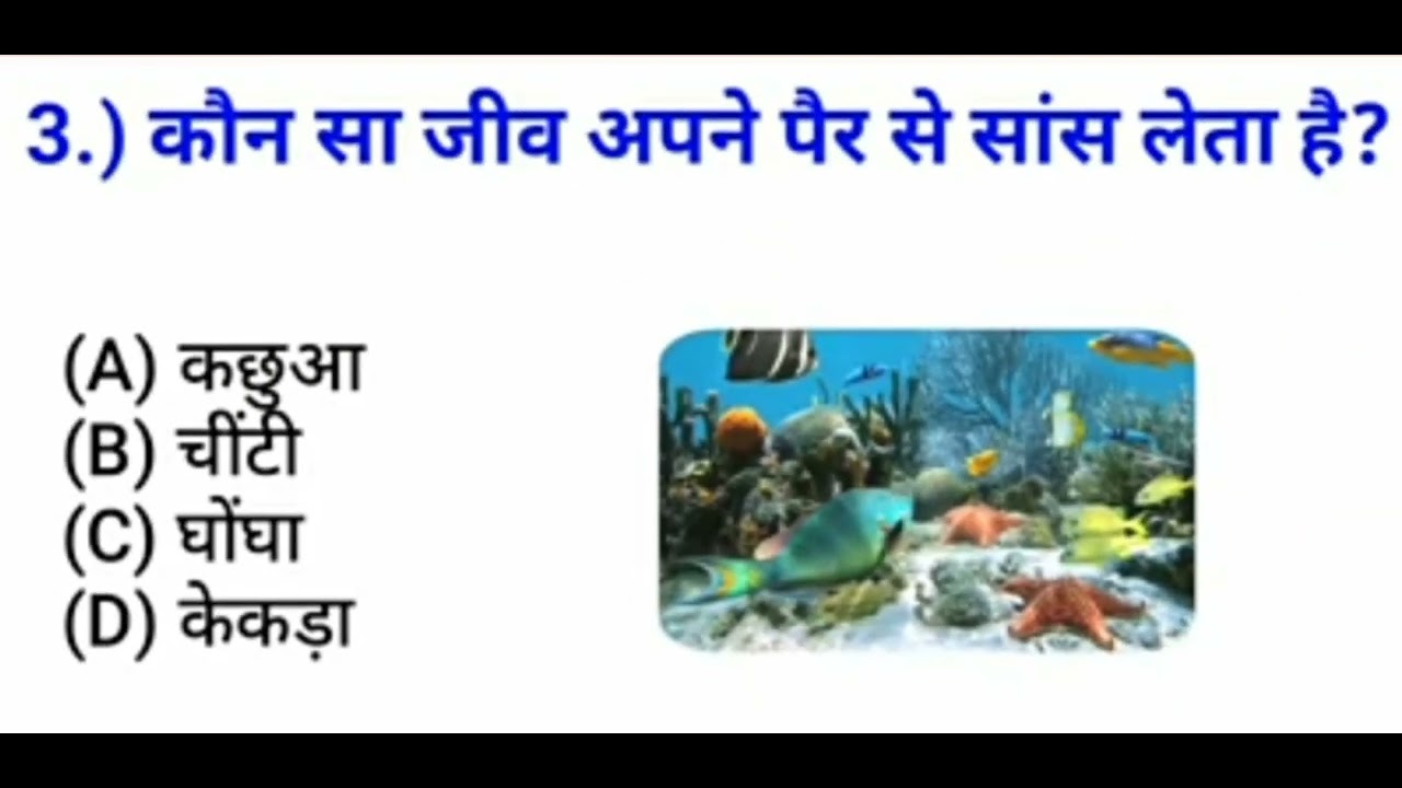 gk question please give me answer|Gk questions give me answer - YouTube