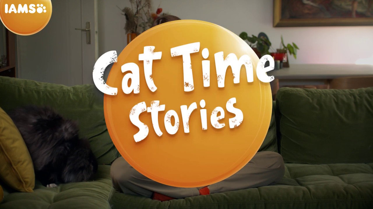 Cat Time Stories YouTube cat-time-stories-youtube
