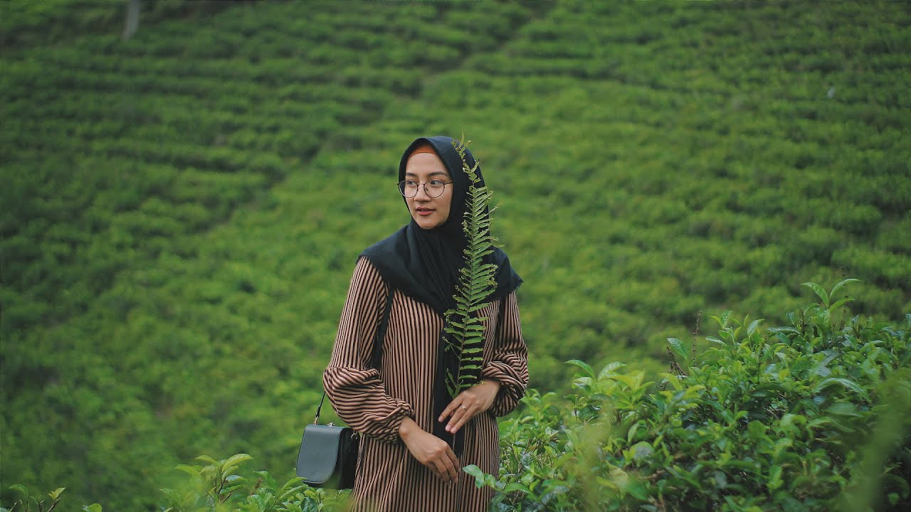 Kebun Teh Kemuning (Cinematic Video) - YouTube