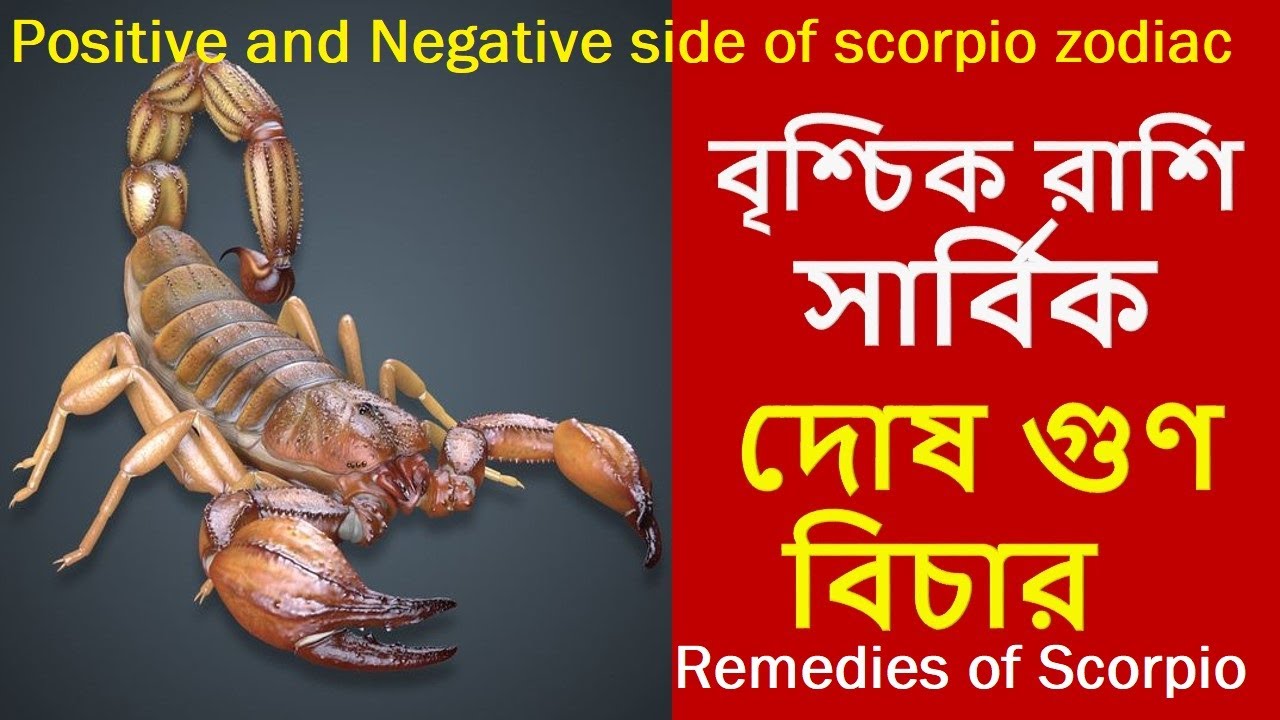 বৃশ্চিক রাশির সার্বিক দোষ গুণ বিচার | প্রতিকার কি? Positive and ...