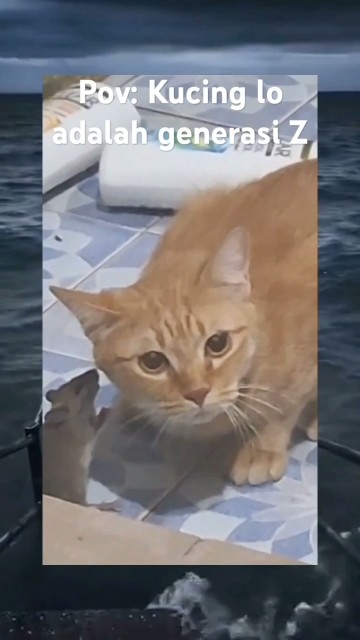 #magic KUCING SAMA TIKUSNYA LAGI NGE GOSIP #cat #tikus #mouse #genz ...