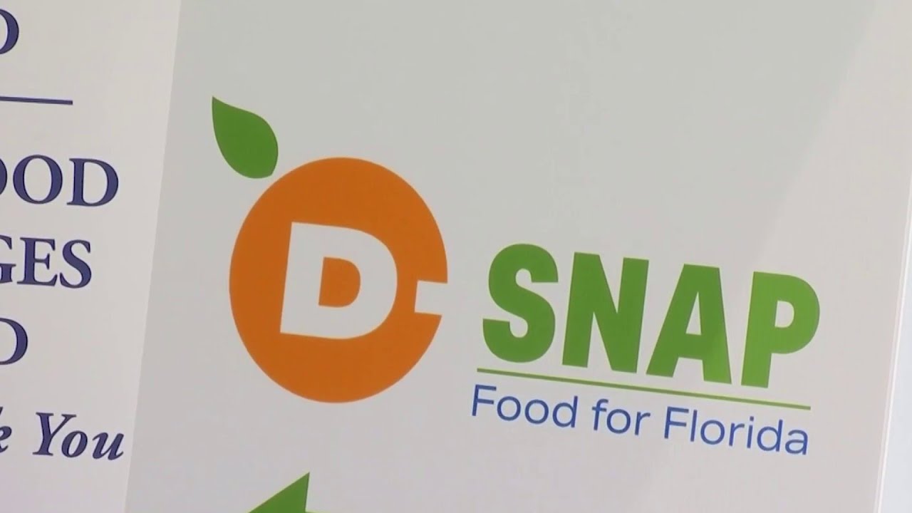 Here’s how Volusia, Flagler residents can apply for D-SNAP benefits ...