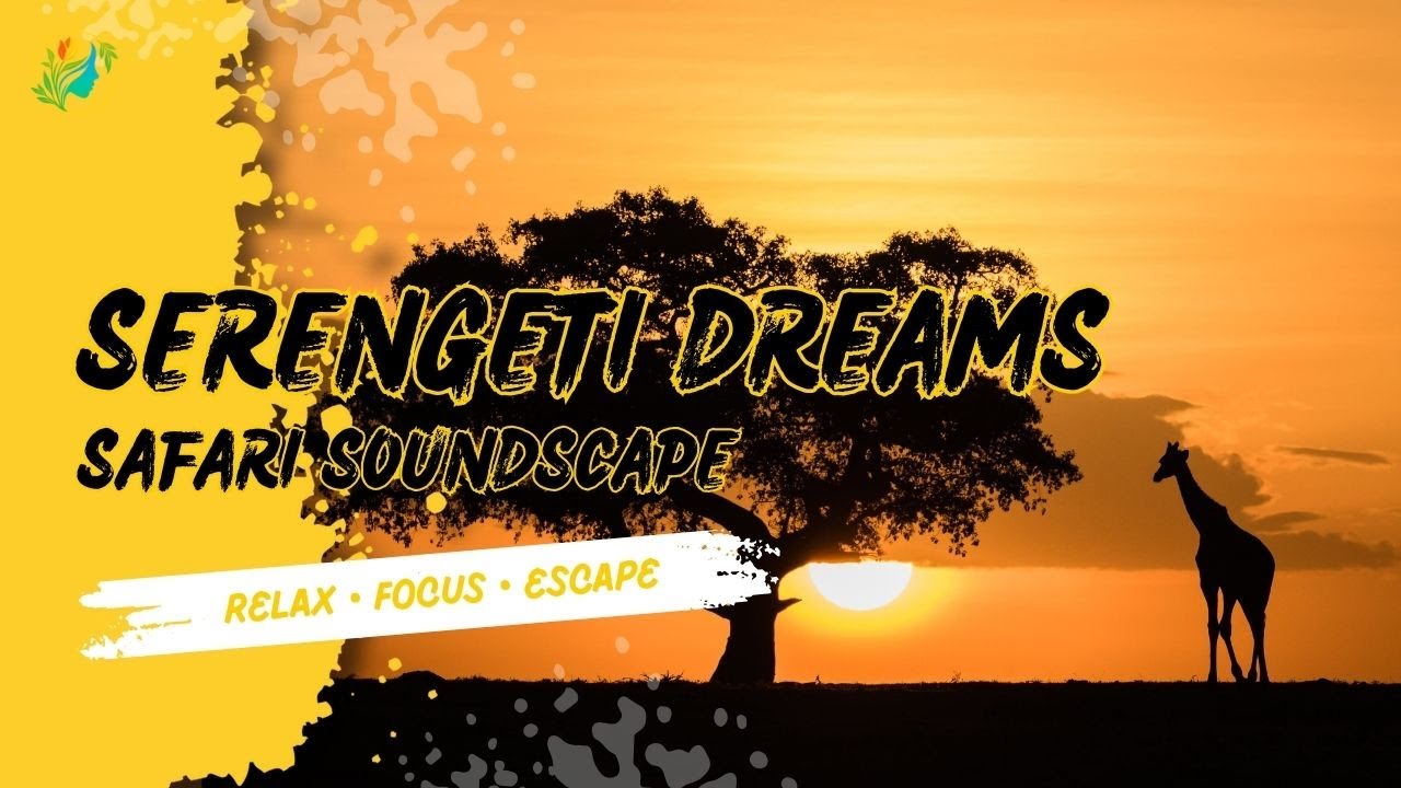Serengeti Dreams: Safari Vibes with Calming African Ambience - YouTube