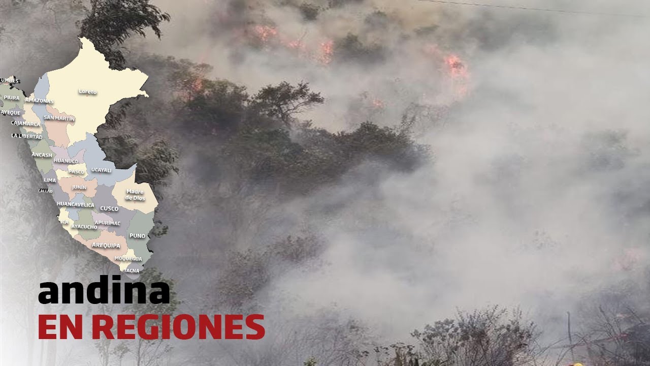 Andina en Regiones: 500 hectáreas de flora y pastizales devastadas por ...