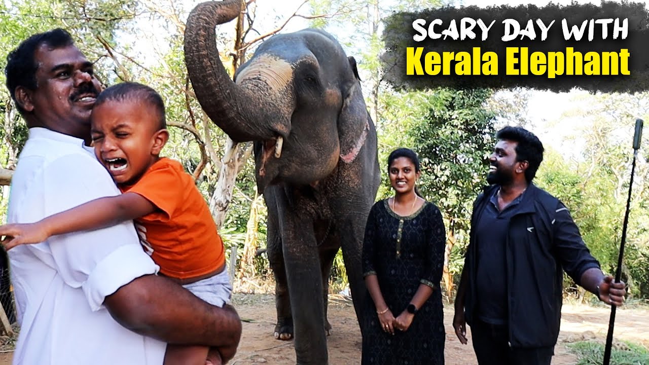 Cute Little Elephant made Isaac Cry 🤣 - YouTube