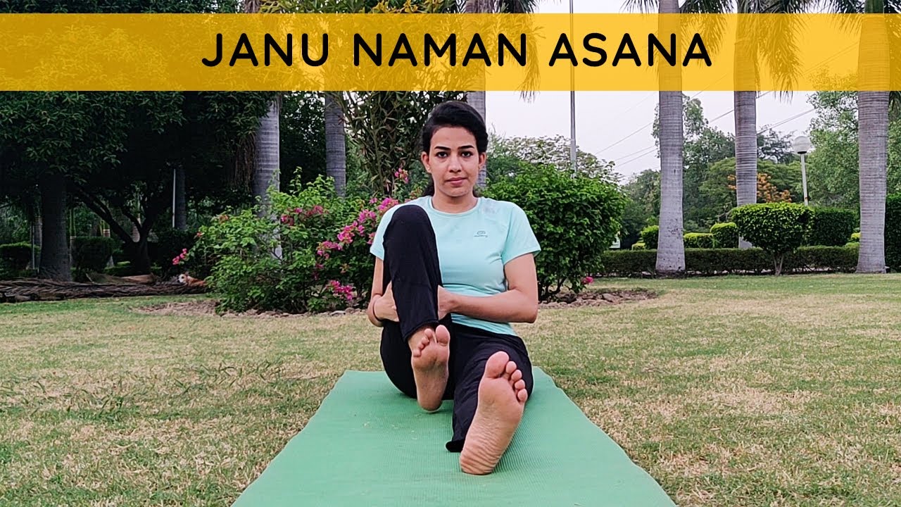 Janu Naman Asana | Yoga for flexibility I जाणू नमन आसान - YouTube
