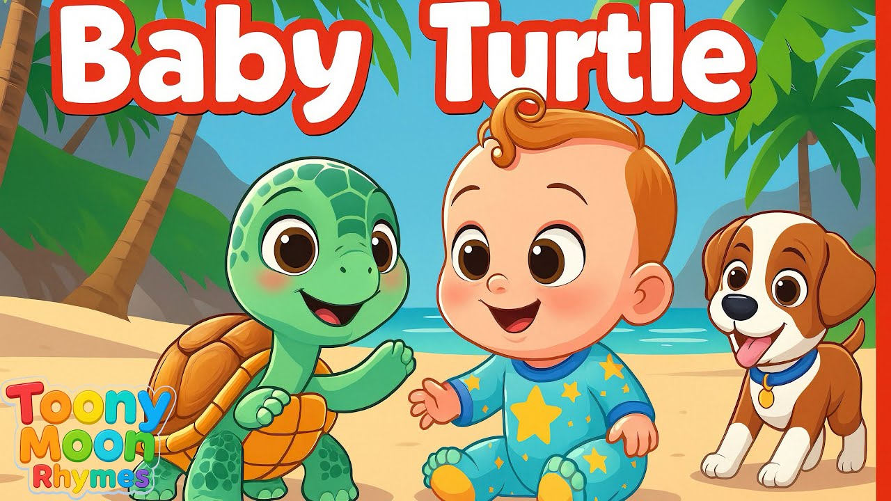 Baby turtle song 🐢 || Cocomelon nursery rhyme - YouTube