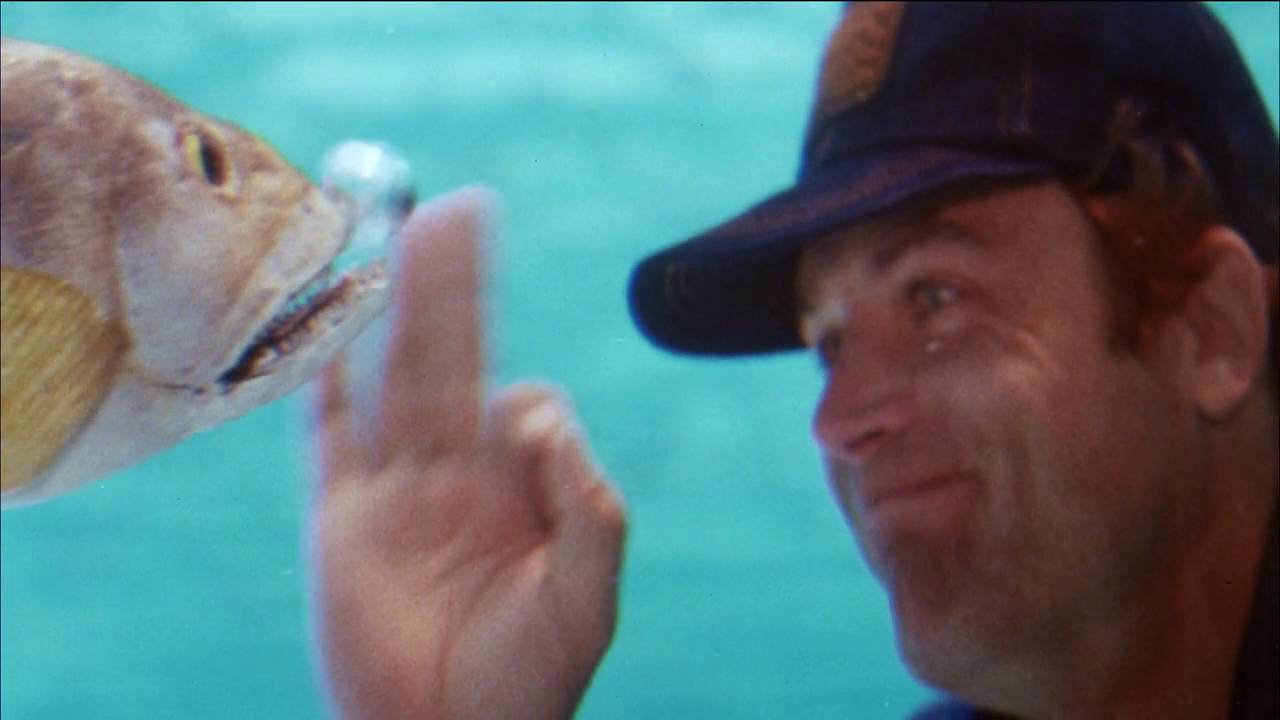 Super Fuzz (1980) - HD Trailer [720p] // Poliziotto superpiù - YouTube