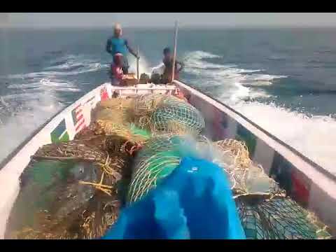 3 engine in 1 boat