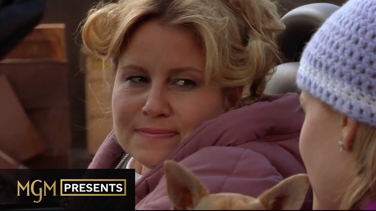 Elle Gets Paulette's Dog Back (Legally Blonde) | MGM PRESENTS - YouTube