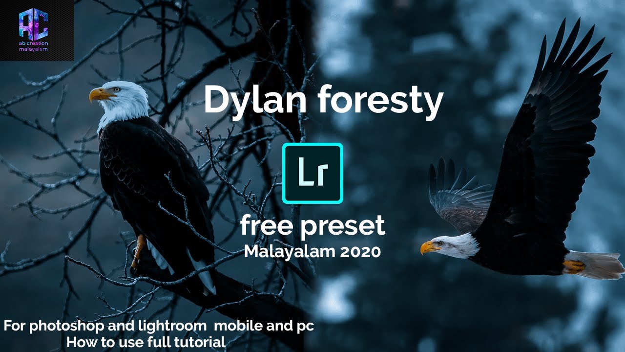 How to edit like Dylan fursty on Lightroom mobile tutorial @fursty ...