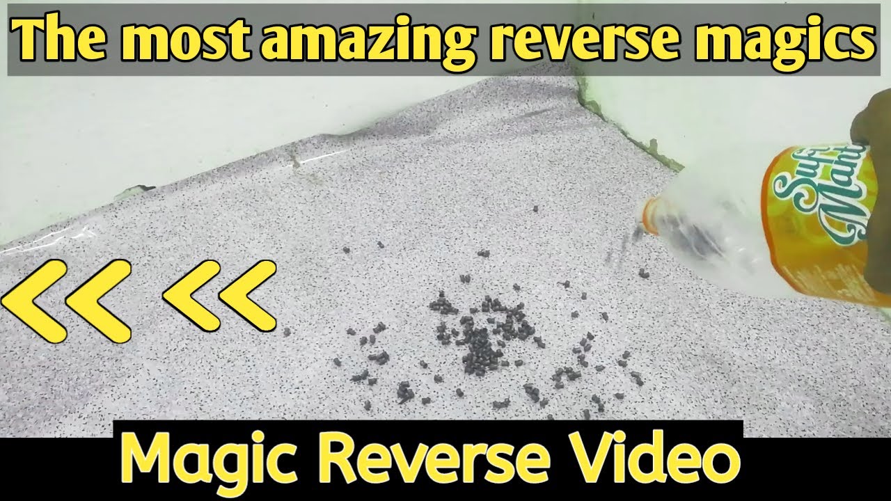 Reversed Magic Tricks / Backward Amazing Magics - YouTube