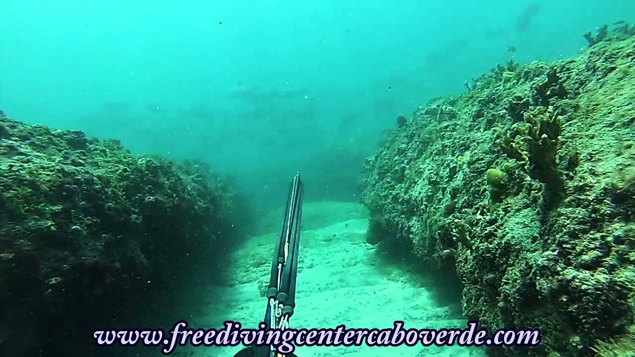 pesca subacquea 2015 Capo Verde - YouTube
