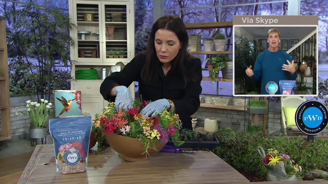 Phillip Watson Designs Winter Hardy Cut and Plant Succulent Mat on QVC ...
