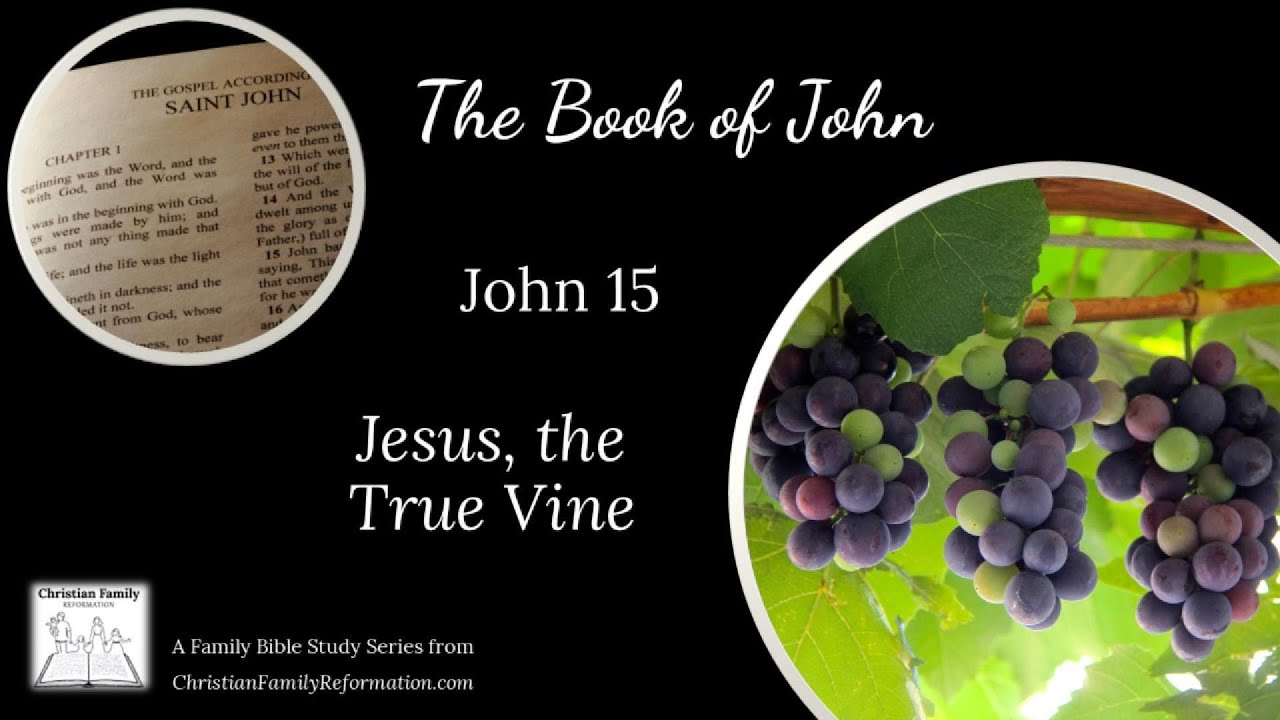 John 15: Jesus, the True Vine - YouTube